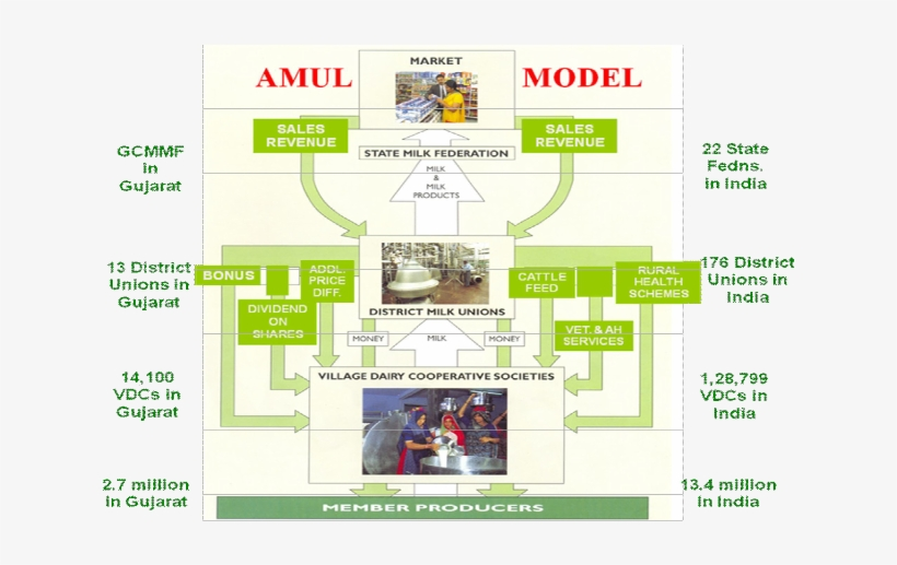Amul : Story behind White Revolution (A Case Study)