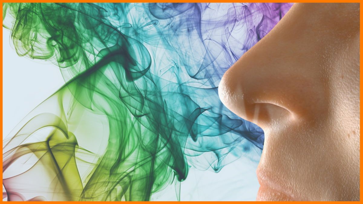 What Is Scent Marketing How Does Scent Marketing Works What Is Scent Marketing How Does Scent Marketing Works